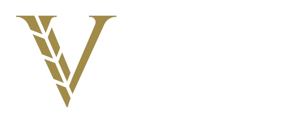 Viserion International