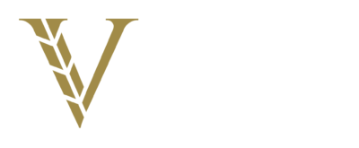 Viserion International