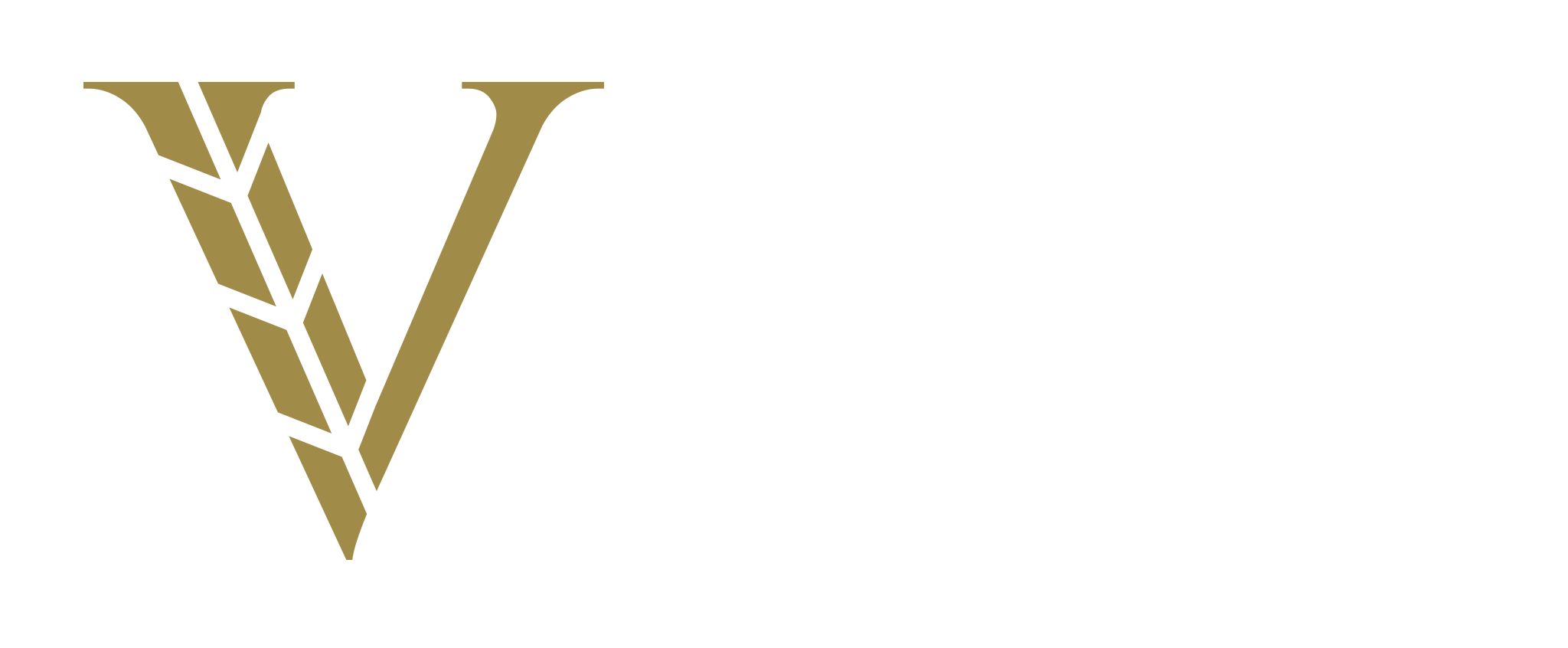 Viserion International